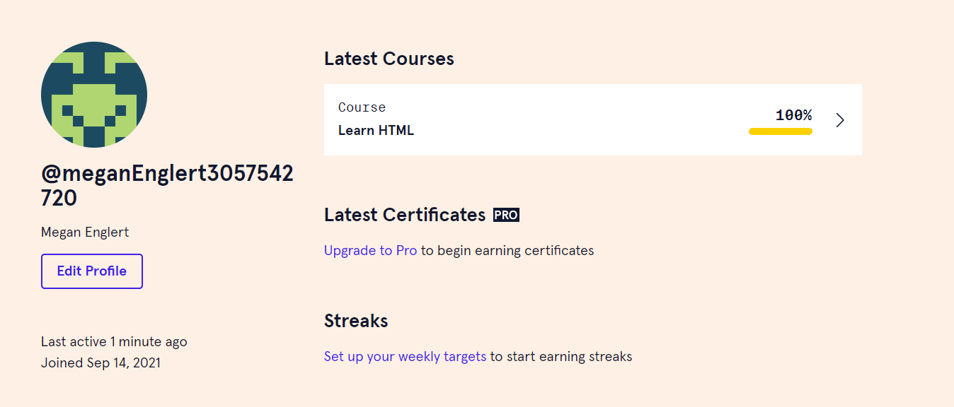 CISC275 Portfolio | CISC275